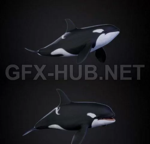 [3DSKY] PBR Game 3D Model - Orca | NEW UPDATE 2024